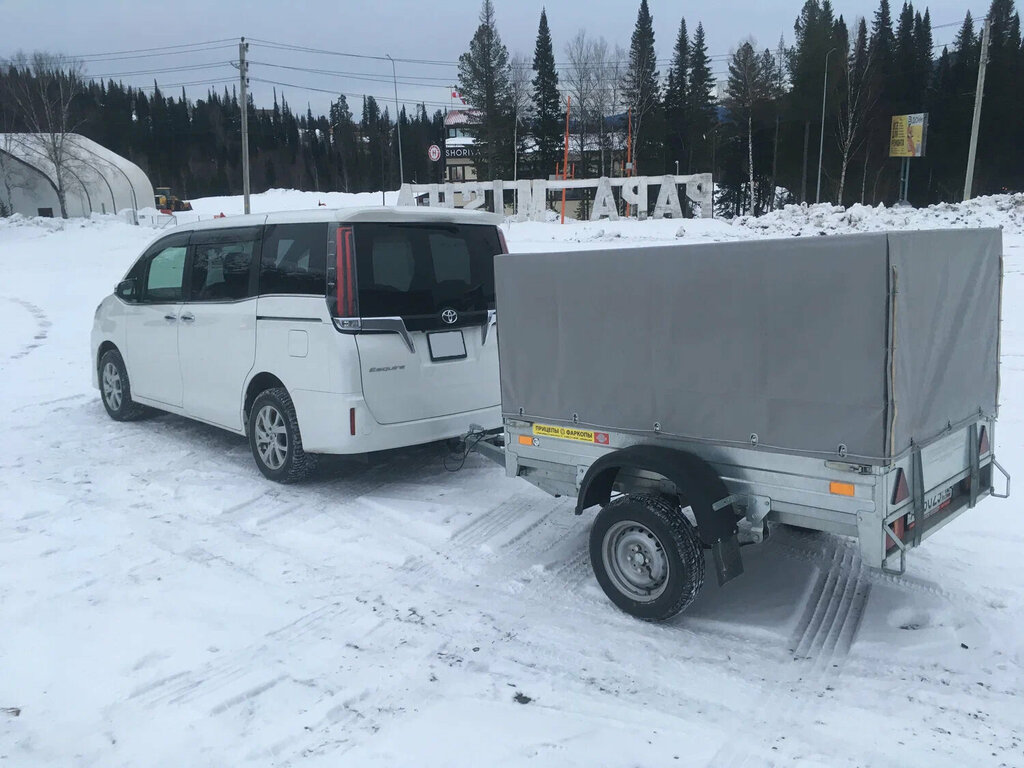 Şehiriçi yolcu taşımacılığı Transfer to Sheregesh, Barabinsk, foto