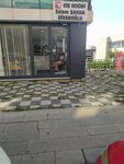 Diş Hekimi Eslem Şahan Divanoğlu (Doğu Mah., Tazegül Sok., No:9, Pendik, İstanbul), diş sağlığı poliklinikleri  İstanbul'dan