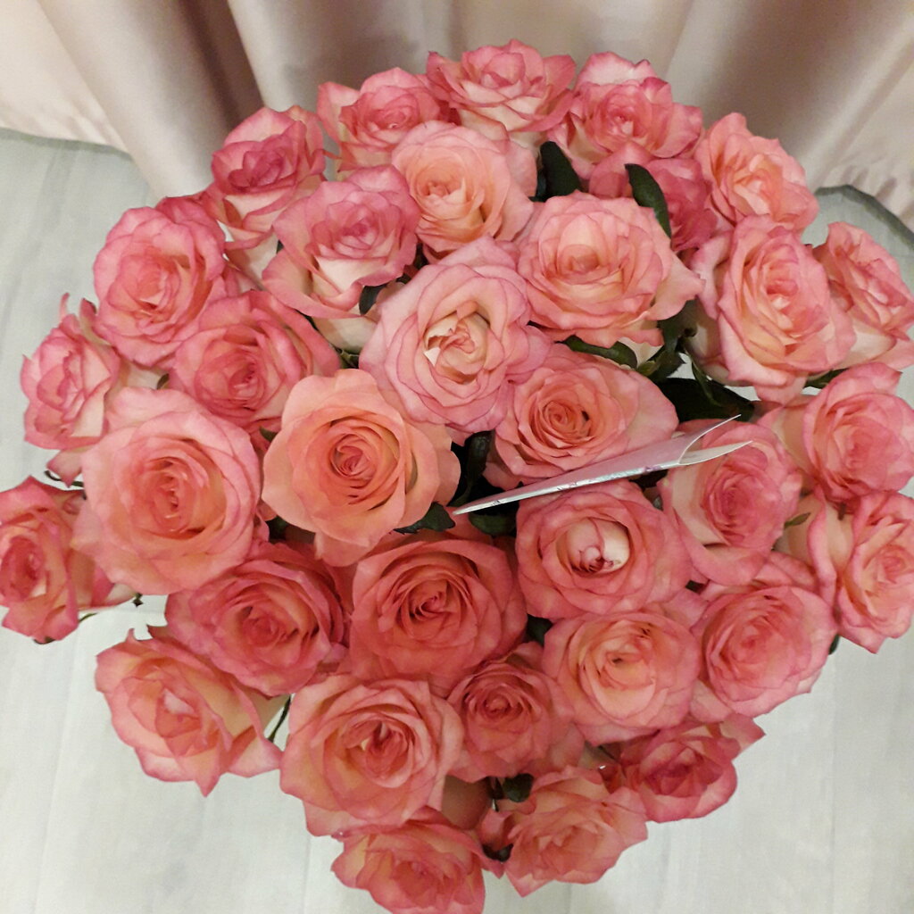 Çiçekçiler 1 Tsvetochny, Novosibirskaya oblastı, foto