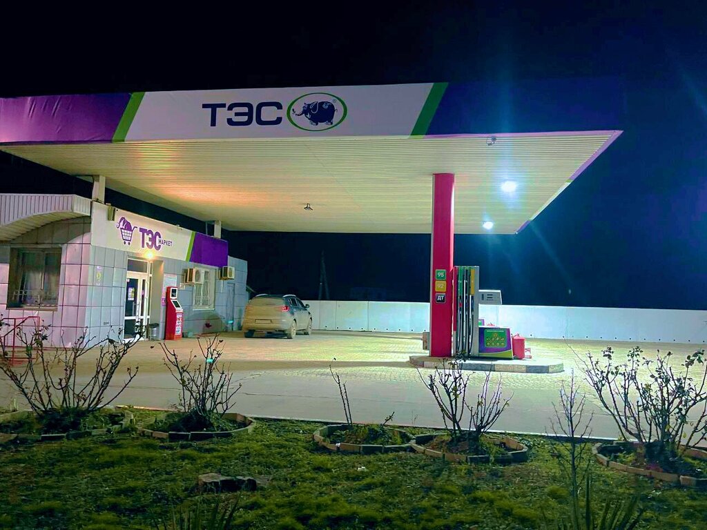 Benzin istasyonu ТЭС, Kırım Cumhuriyeti, foto