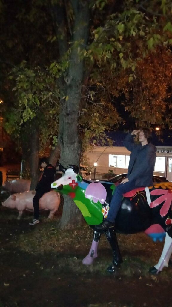 Park, sokak heykeli Коровы, Mytişçi, foto