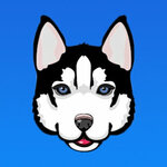 Chien Pro Vet (Moscow, Novomoskovskiy Administrative Okrug, Kommunarka District, bulvar Velaskesa, 7к4), veteriner klinikleri  Moskova'dan