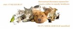 Служба доставки Зоотоваров (60-letya Oktyabrya Street No:16), petshop  Çeliabinsk'ten