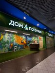 Dom Popygaev (Uralskaya Street No:98/11), hayvanat bahçeleri  Krasnodar'dan