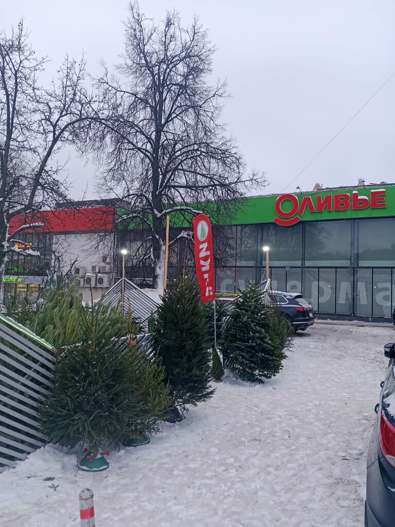 Çam ağacı pazarı Elki77, Moskova, foto