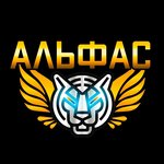 Alphas (No:1к1, Yerino Settlement), lazer paintball  Moskova'dan