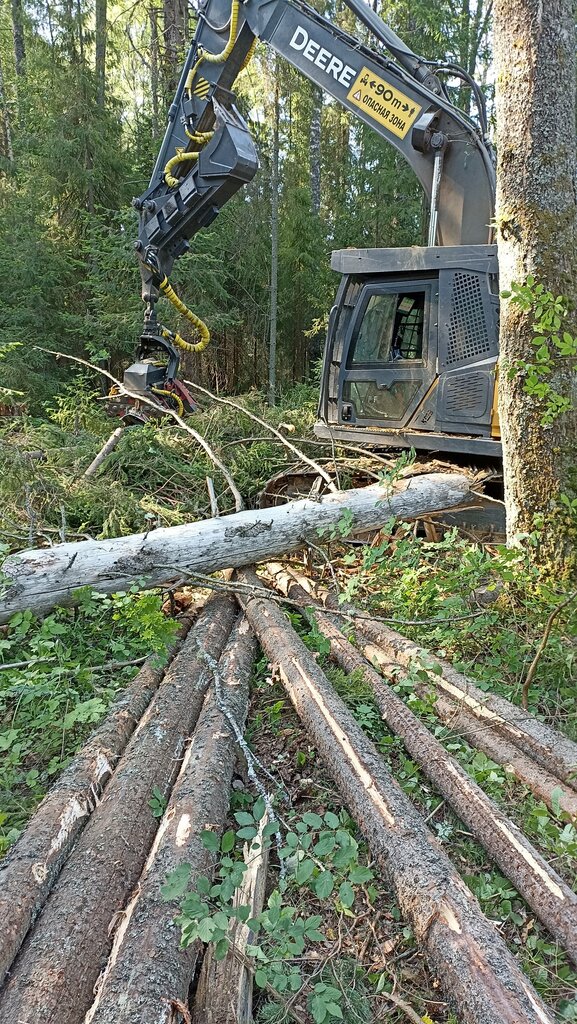 Ahşap endüstrisi Эдем, Kirovskaya oblastı, foto