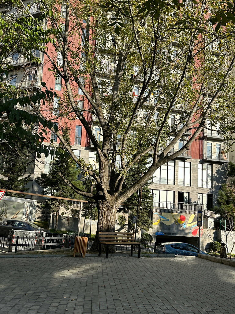 Kültür ve eğlence parkları Парк имени Шалвы Нуцубидзе, Tiflis, foto