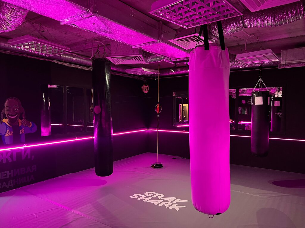 Spor kulüpleri Gray shark studio, Krasnodar, foto