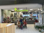 Blumenring (Häuersteig No:2, Freiberg), çiçek pazarı  Freiberg'den