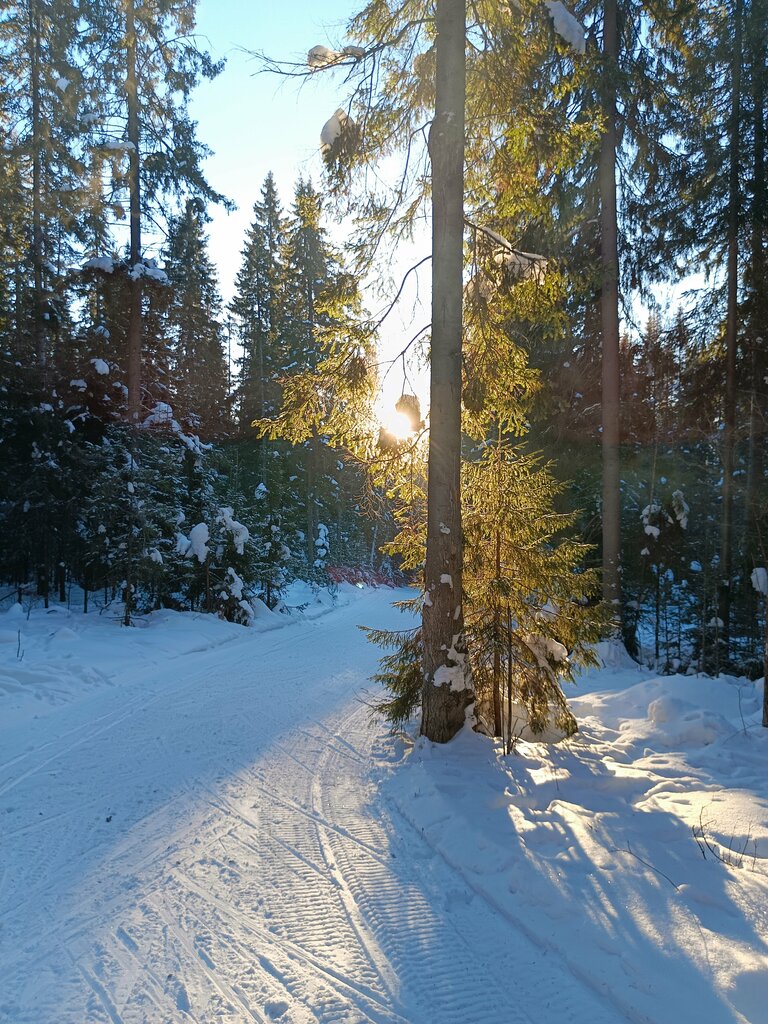 Spor okulları DYuSSh po Legkoy Atletike, Lyzhnym Gonkam, Çeliabinskaya oblastı, foto