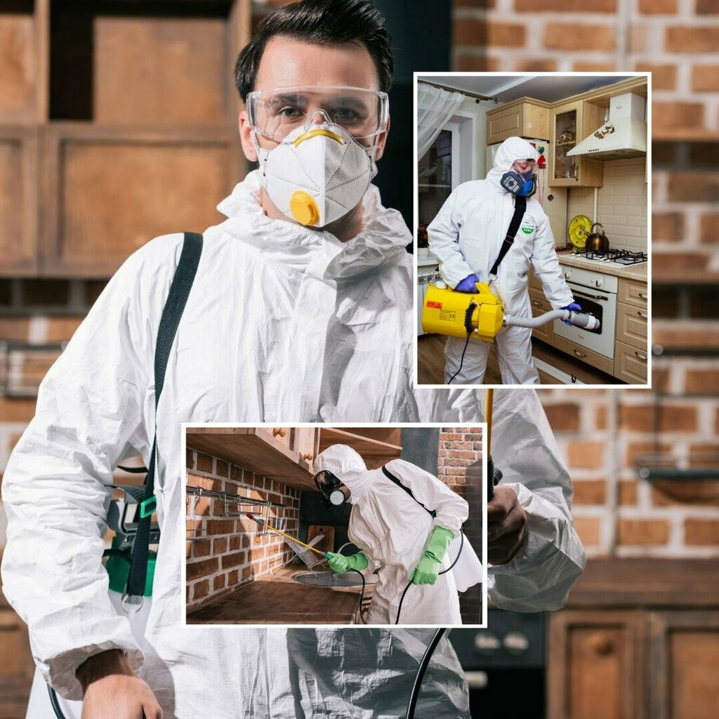 Haşere ilaçlama firmaları Sanitary master, Novocheboksarsk, foto