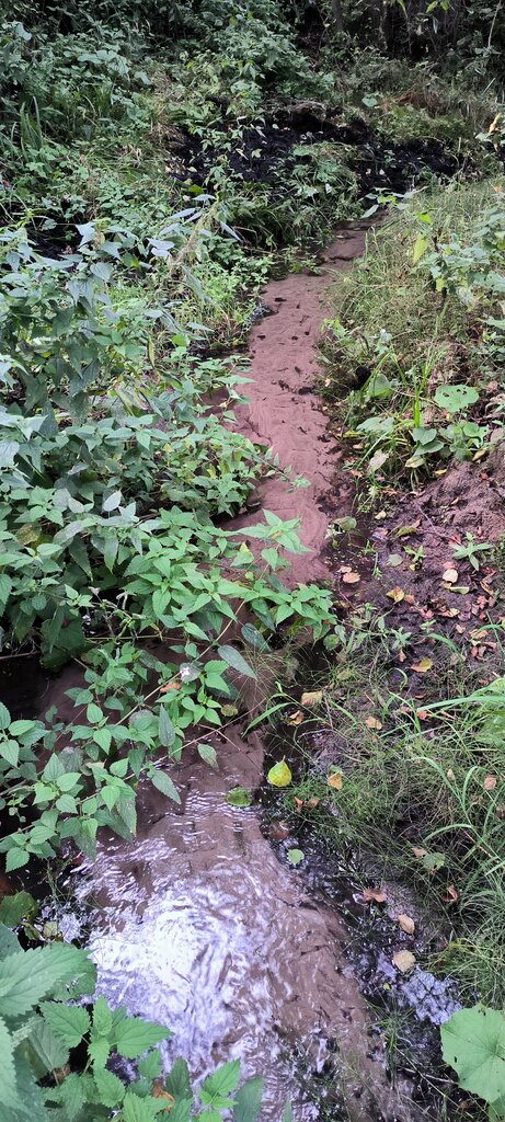 Pınar, çay Spring, stream, Samarskaya oblastı, foto