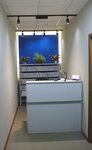 Artemida Med+ (Atarbekova Street No:4), tıp merkezleri ve klinikler  Moskova'dan