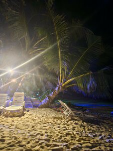 Taste (Alif Alif Atoll, Ukulhas, Ukulhas island), restoran  Kuzey Ari'den