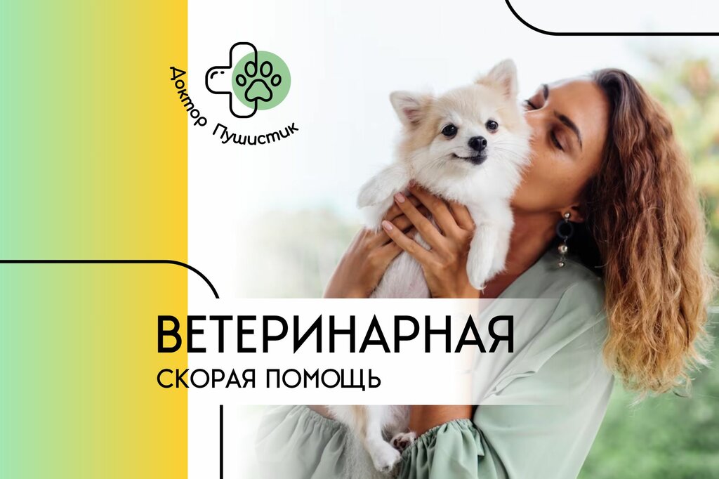 Veteriner klinikleri Doctor pyshistik, Himki, foto