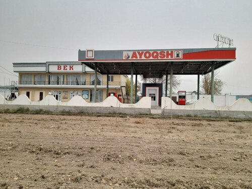 Benzin istasyonu Gas Station, Cizzak eyaleti, foto