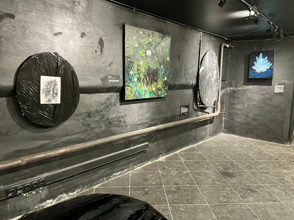 Sergi salonları, galeriler Glubina, Moskova, foto