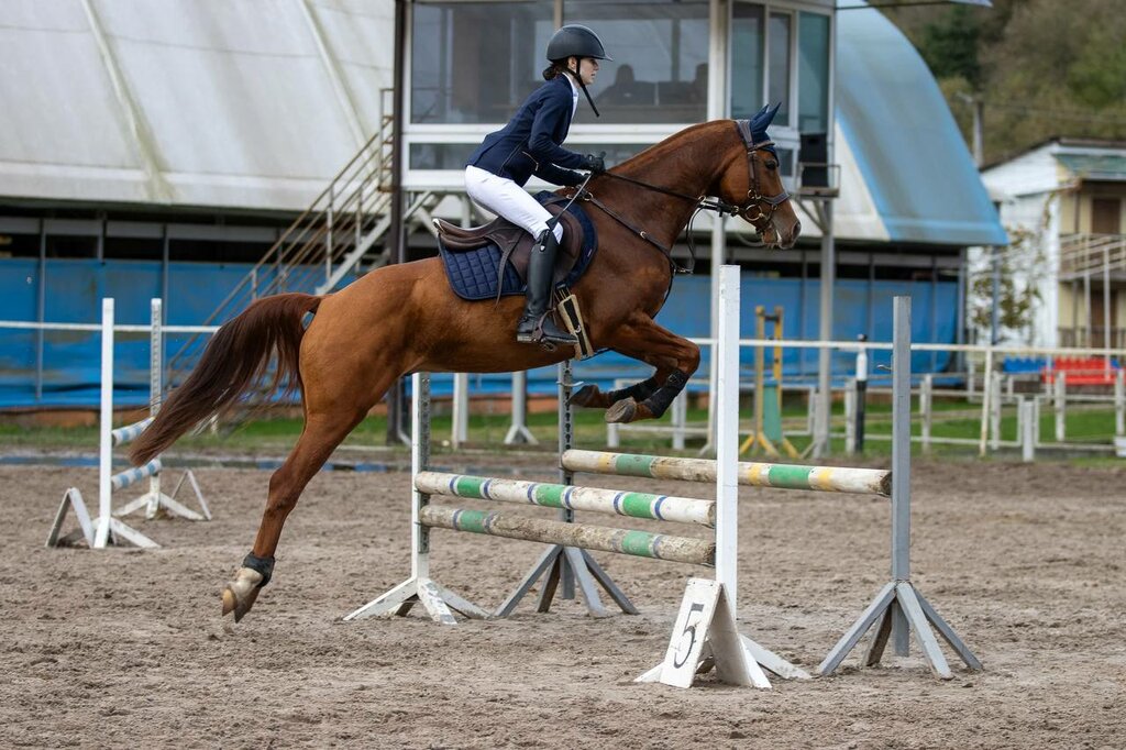 At ve binicilik kulüpleri Министерский, Soçi, foto