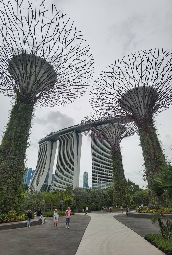 Kültür ve eğlence parkları Gardens by the Bay, Singapur, foto