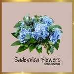 Sadovnica (Vladimirskaya ulitsa No:20), çiçekçiler  Yuryev‑Polski'den