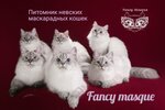 Fancy masque (4-ya Sovkhoznaya ulitsa No:1), evcil hayvan yetiştiricileri  Noginsk'ten