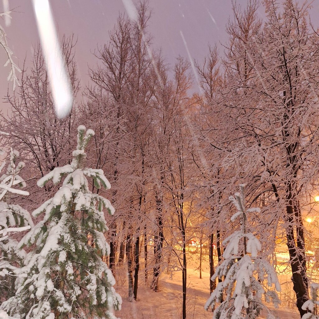 Turistik yerler Аллея космонавтов, Sertolovo, foto