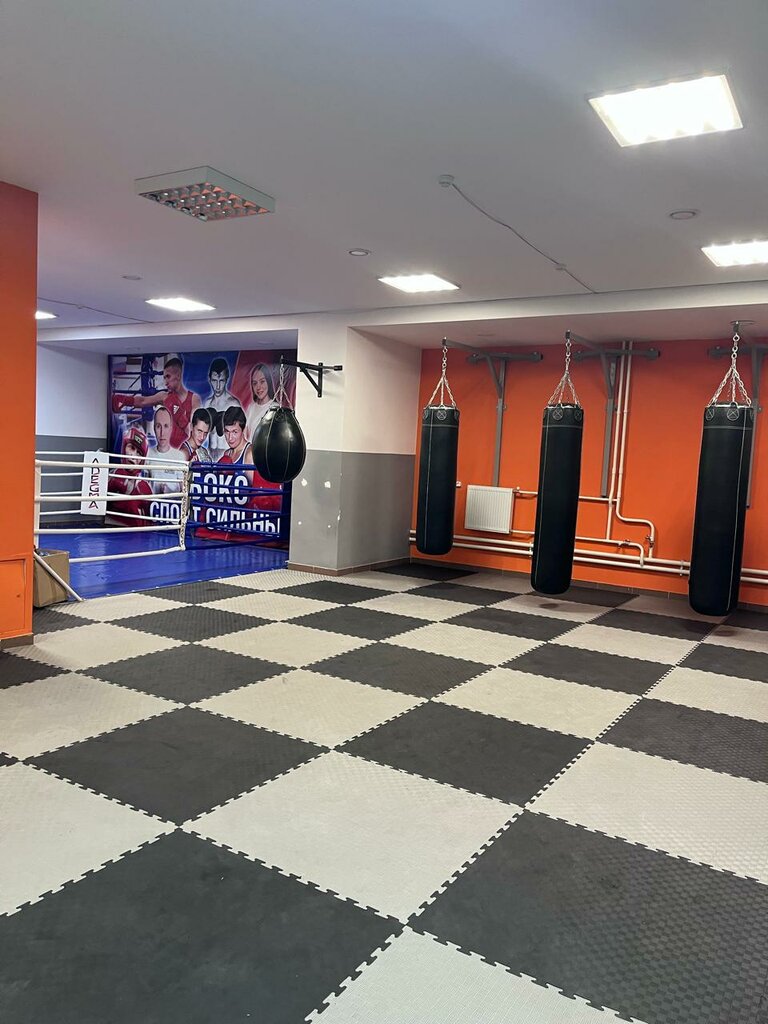 Spor ve jimnastik salonları Зал бокса Макаровых, Petrozavodsk, foto