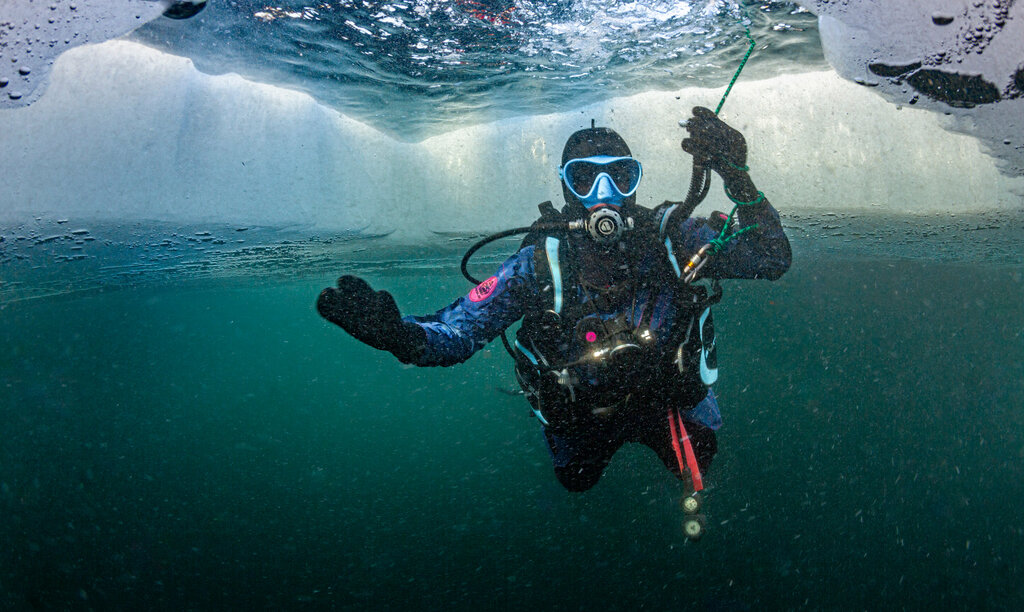 Dalış kulüpleri ve eğitim merkezleri OceanWork, Moskova, foto