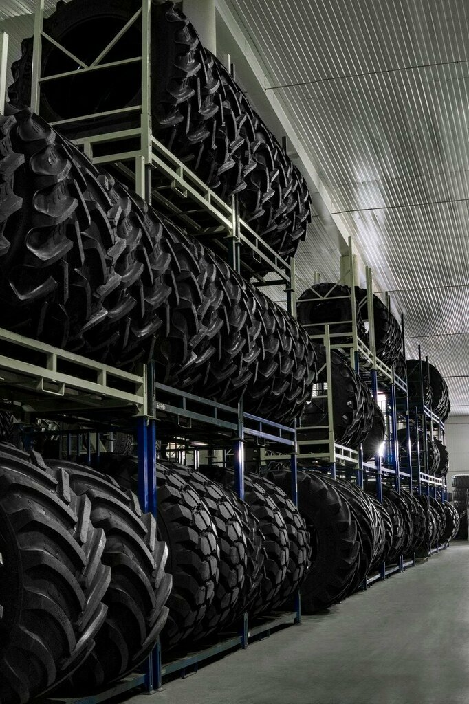 Jant ve lastikçiler Bohnenkamp, Rostovskaya oblastı, foto