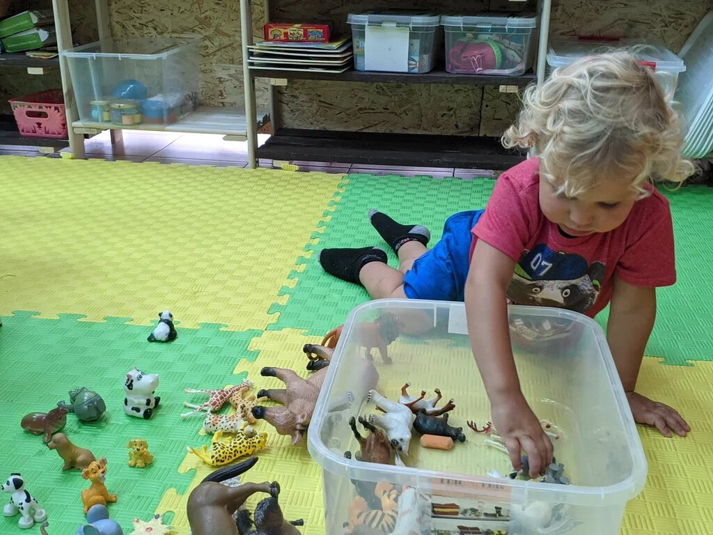 Çocuk gelişim merkezleri Bubo bubo, Gelencik, foto