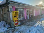 Paydala (Spataev kóshesі No:74А, Qatynkópir móltekaýdany), ödeme terminali  Çimkent'ten (Şımkent'ten)