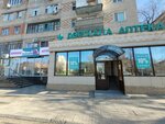 Pharmacy (Dinmukhamed Qonaev street No:26), eczaneler  Kızılorda'dan