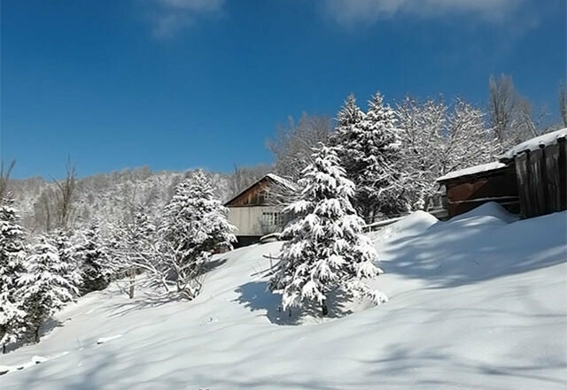 Parklar ve ormanlar Three Brothers, 2860 M, Almatı eyaleti, foto