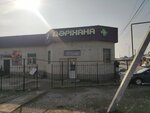 Nur-Farm (Jamaýov kóshesi No:1255, Qaıtpas-1 shaǵyn aýdany), eczaneler  Çimkent'ten (Şımkent'ten)