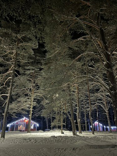 Resort oteller, tesisler Holiday park Piros, Novgorodskaya oblastı, foto