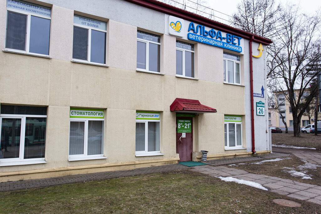 Özel ağız ve diş sağlığı klinikleri ve muayenehaneleri Garmoniya dent, Minsk, foto