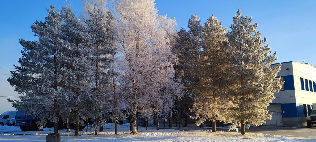 Petrol ve gaz firması Ленинградское Упхг, Saint‑Petersburg ve Leningradskaya oblastı, foto