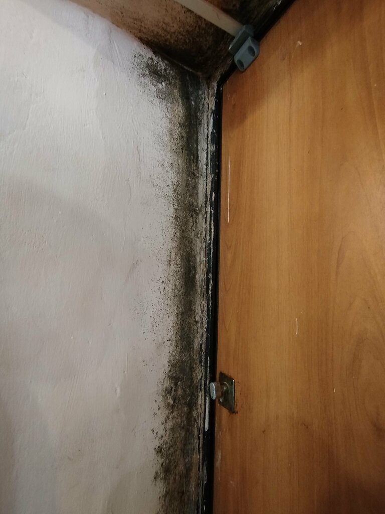 Ortaokul Shkola Srednego Obshchego Obrazovaniya, Vologodskaya oblastı, foto