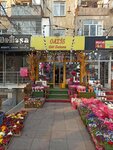 Oazis (Musa Aliyev Street No:3B), çiçekçiler  Bakü'den
