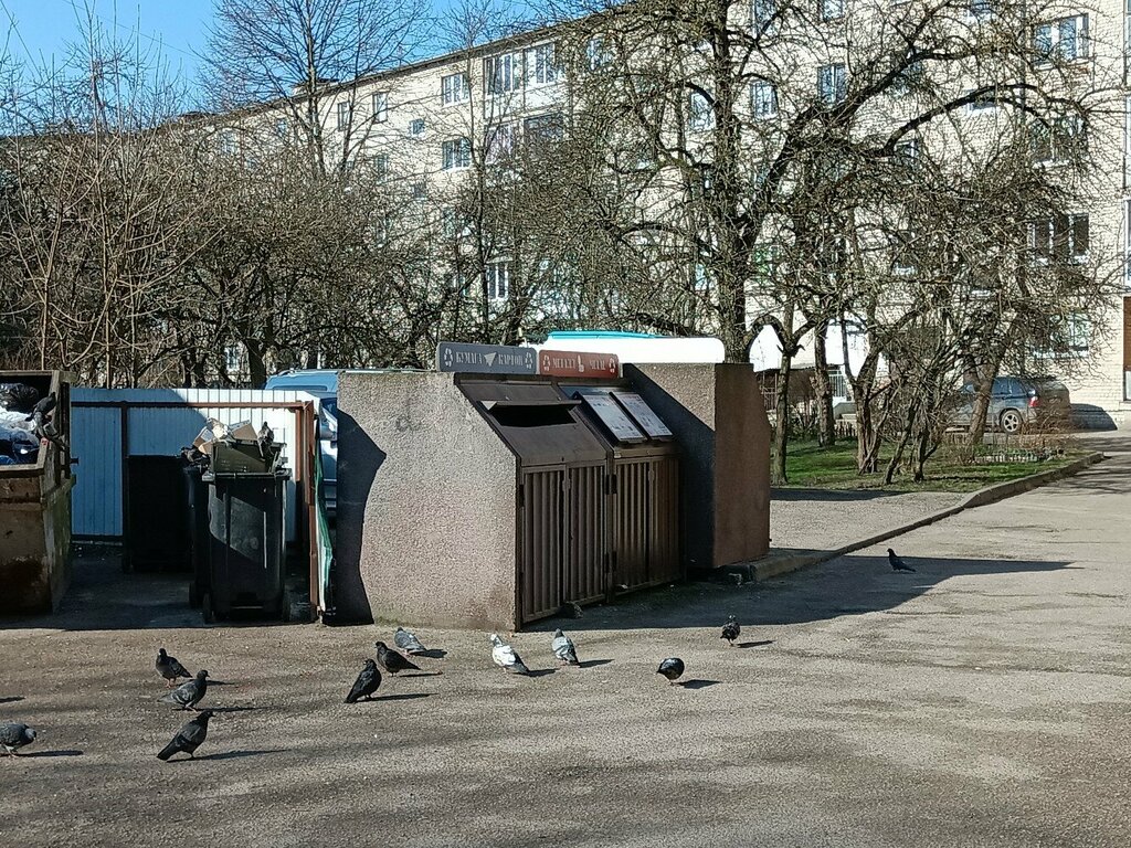 Ayrı çöp toplama noktası Waste sorting, Kaliningrad, foto