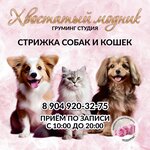 Хвостатый модник (Komsomolskaya ulitsa No:7А, derevnya Beryozovka), evcil hayvan kuaförleri  Nijegorodskaya oblastından