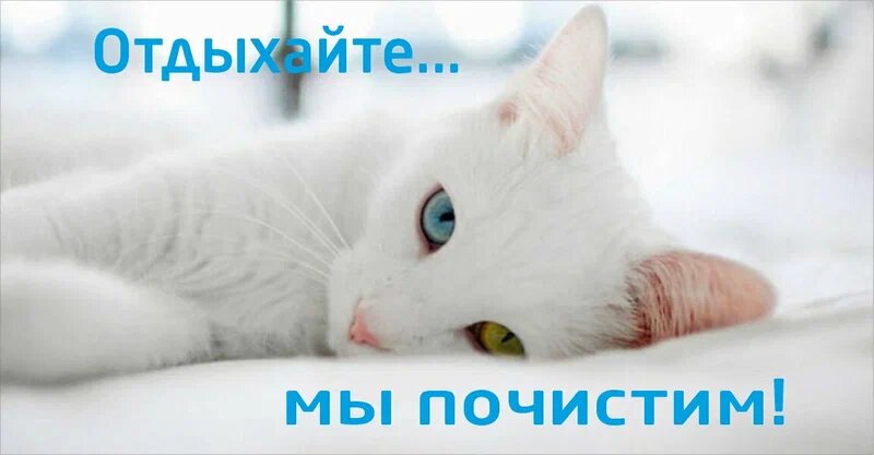 Kuru temizlemeciler 4b.ru, Moskova, foto