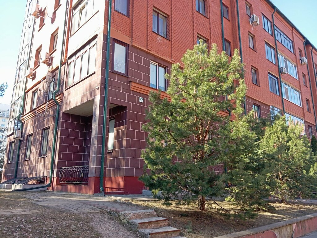 Masa oyunları ve zeka geliştirici oyunlar Гинкаммури, Minsk, foto