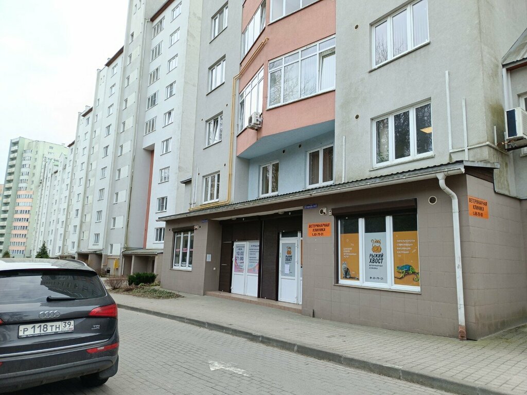 Veteriner klinikleri Рыжий хвост, Kaliningrad, foto