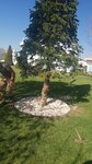 Ömürnaz Peyzaj (Ankara, Çankaya, Dodurga Mah., 5175. Cad., 5), peyzaj tasarımı  Ankara'dan