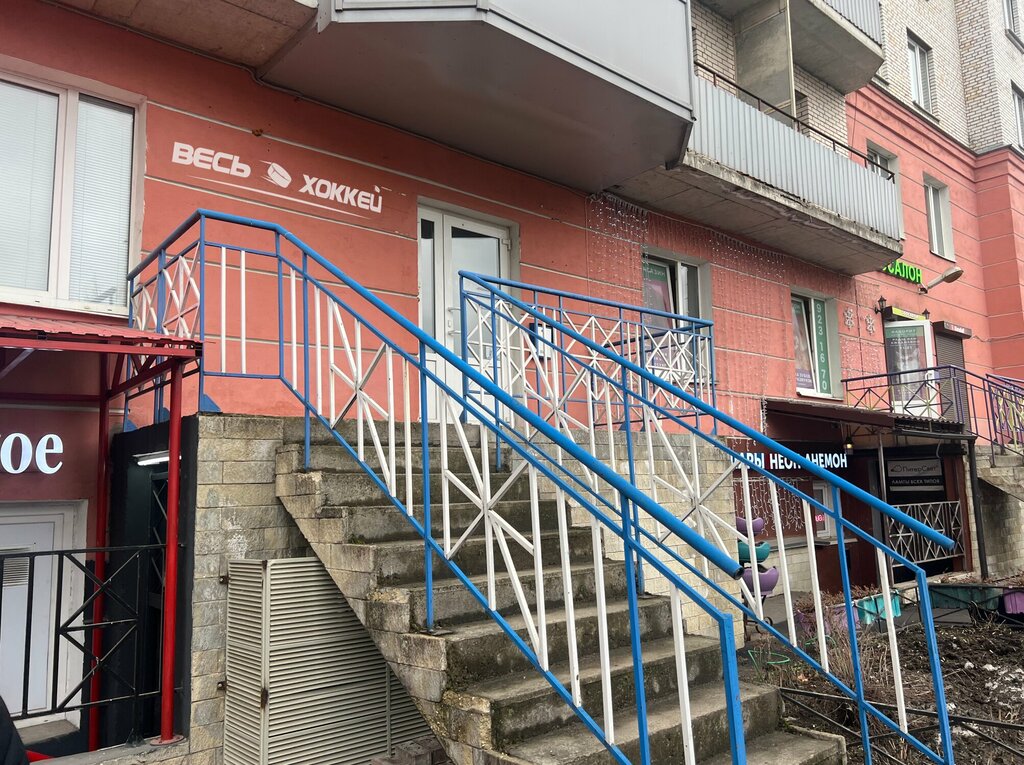 Fitness ve spor ekipmanı firmaları Весь хоккей, Saint‑Petersburg, foto