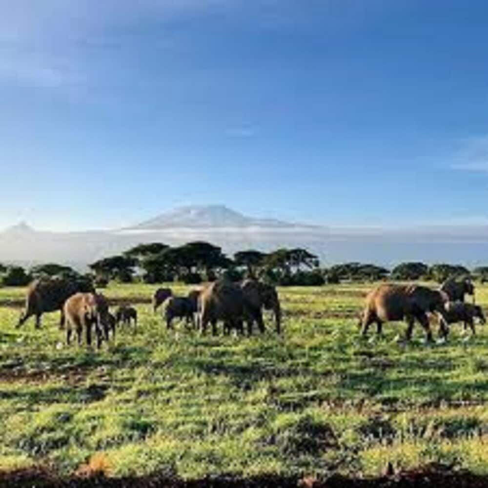 Otel Mara Topi Safari Lodge, Dünya, foto