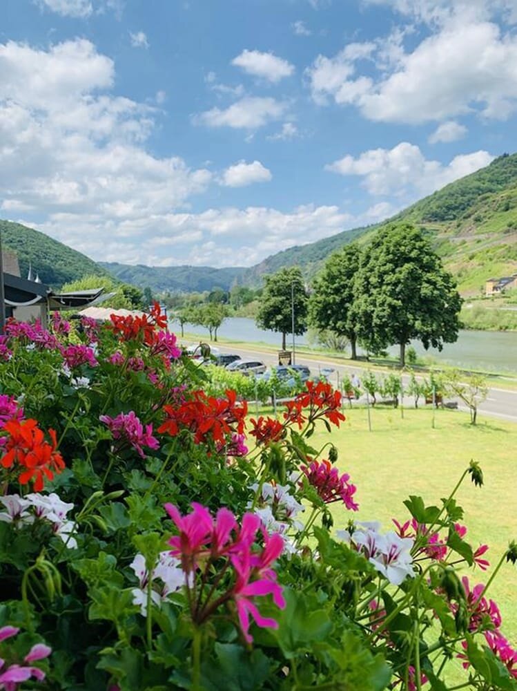 Otel Weinbergs Loge, Renanya‑Palatinate, foto
