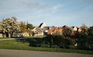 Birkagatan Vandrarhem (Birkagatan No:8), otel  Visby'den